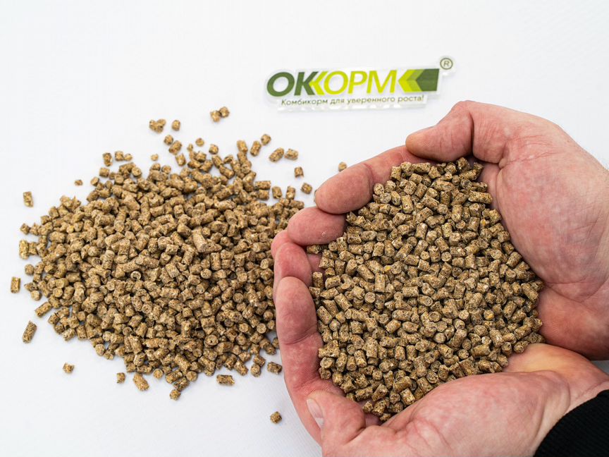 Корм для кур, свиней, коров, кроликов, овец опт