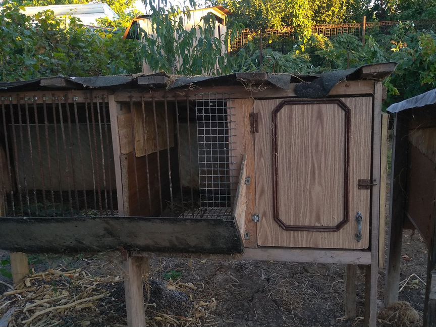 Клетка для кролика