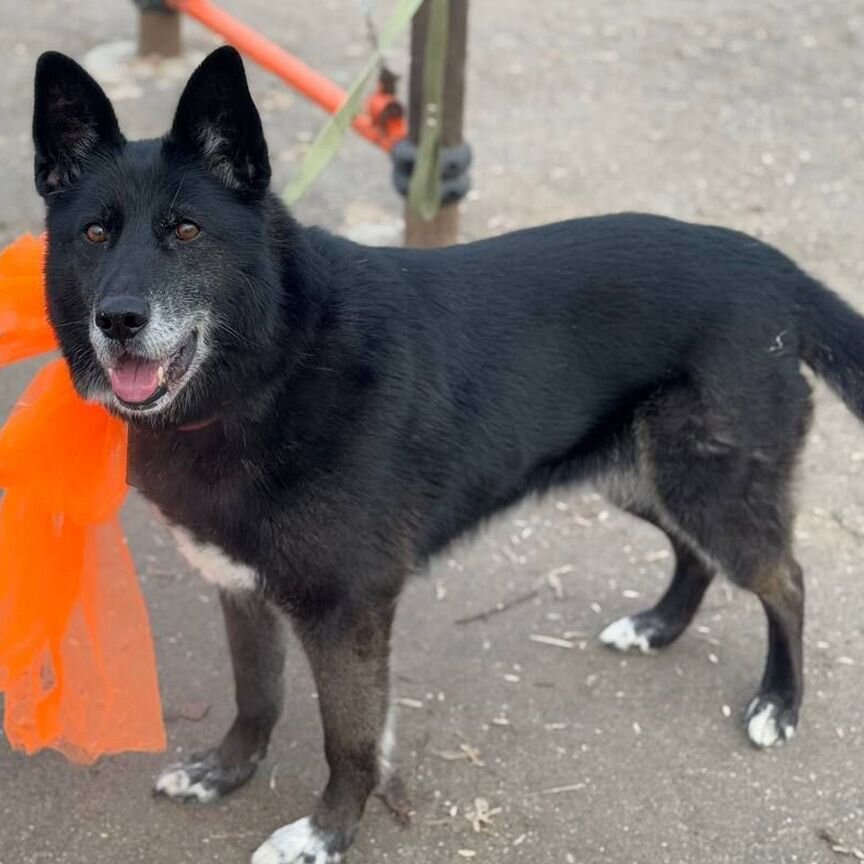 Наоми ищет, семью.Приходи к ней