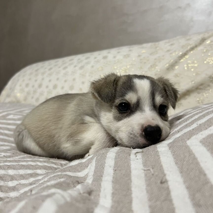 Малышка ждет родителей