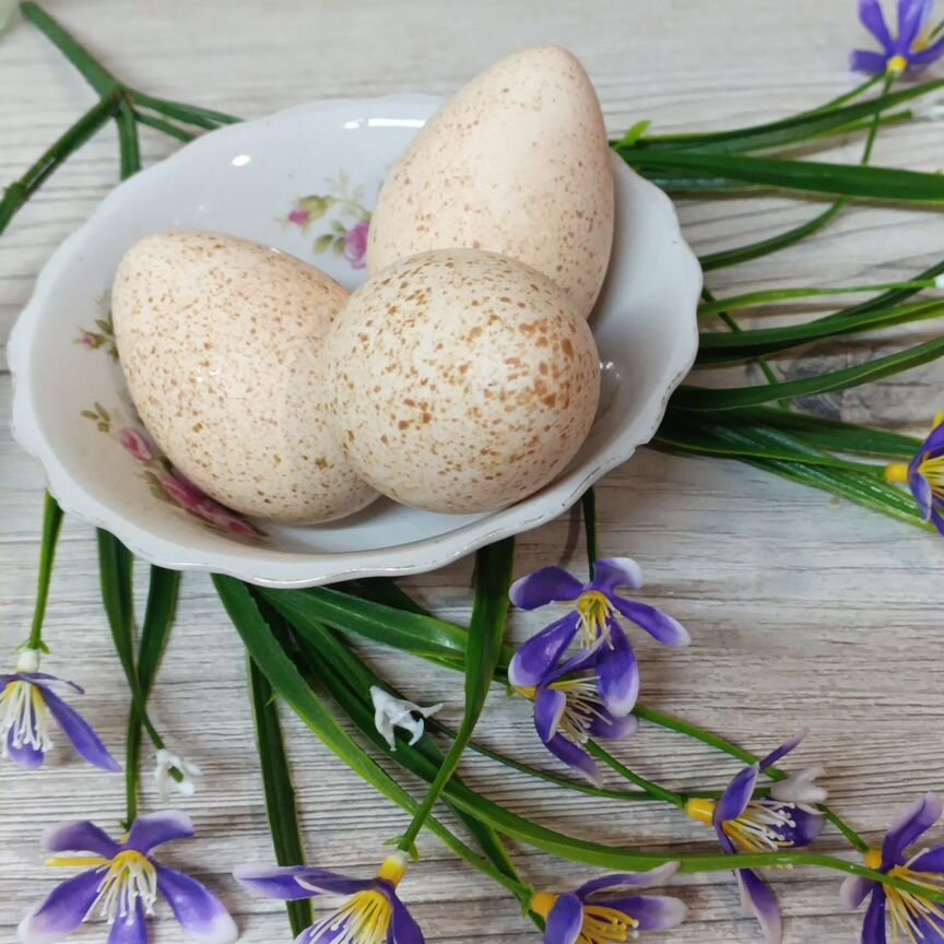 Яйца индюжье