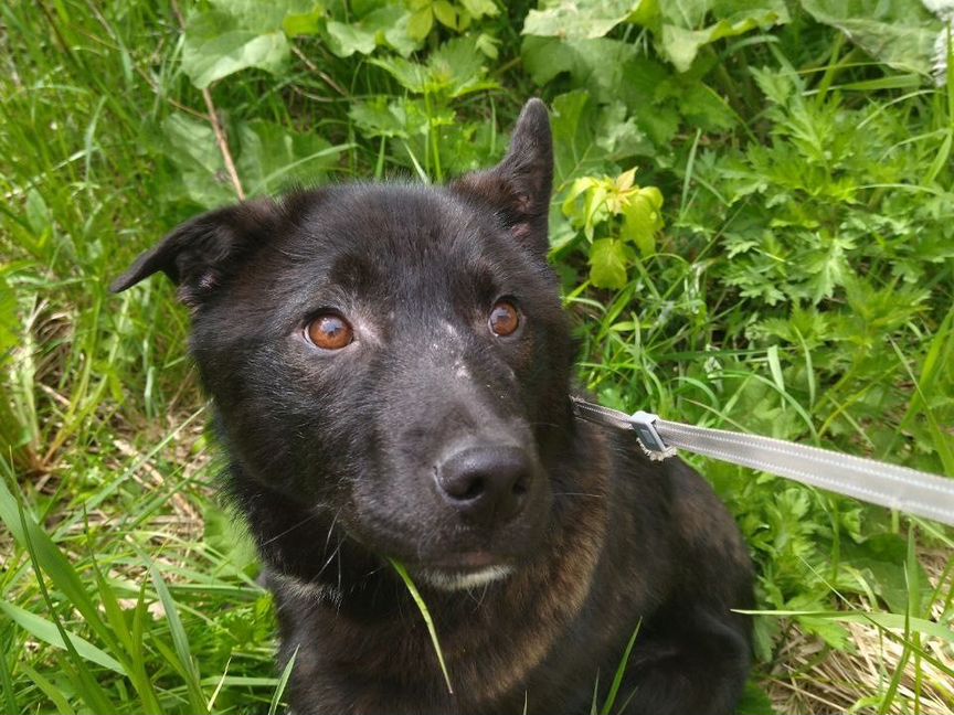 Черри ищет себе маму и папу