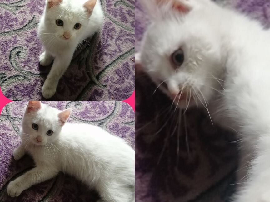 Мягкий комочек