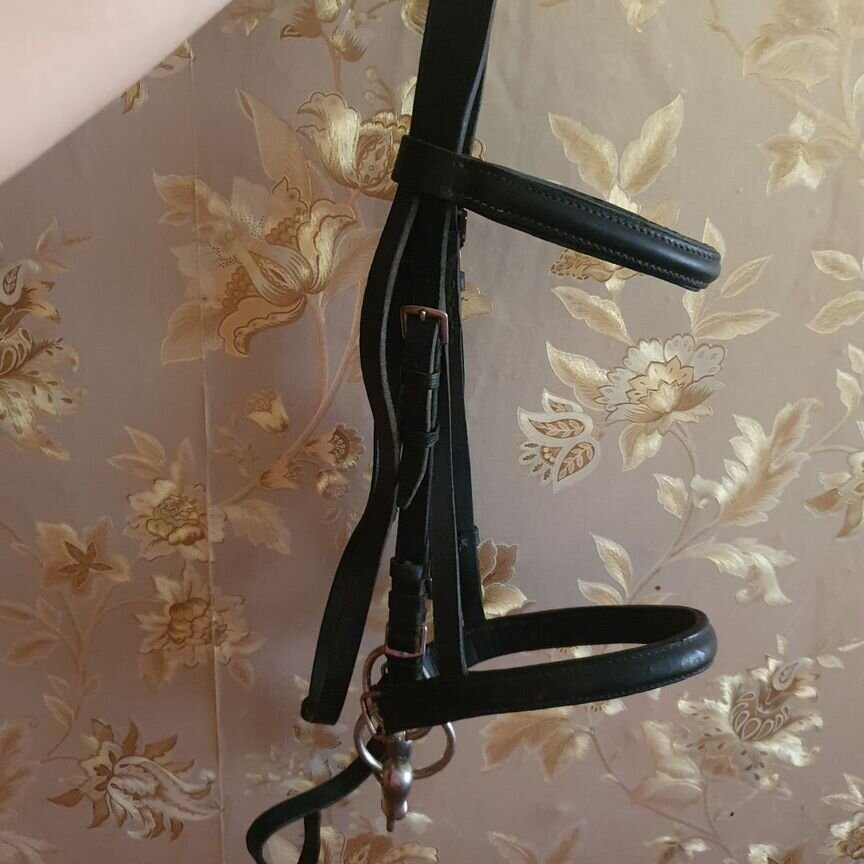 Уздечка для лошади