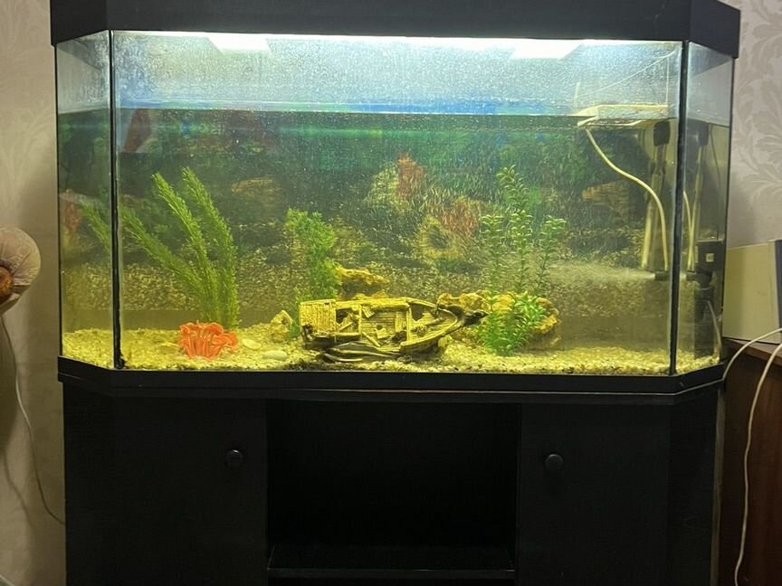 Аквариум с тумбой и рыбками 200л