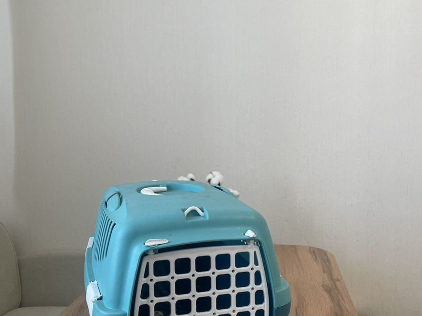 Переноска для кошки