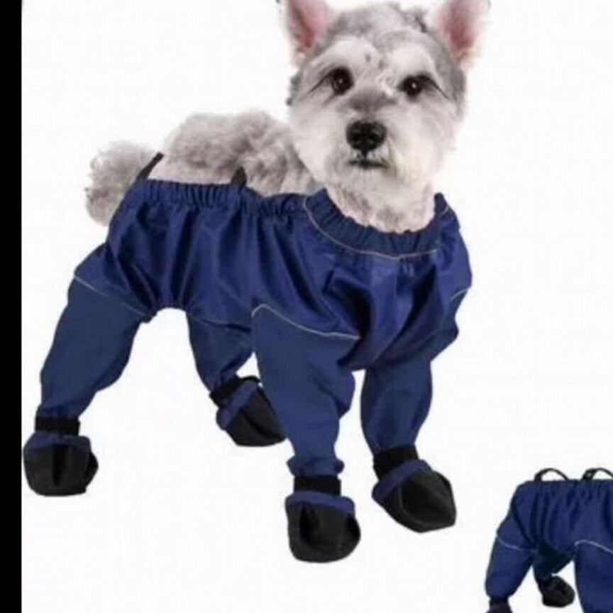 Комбинезон для средней собаки