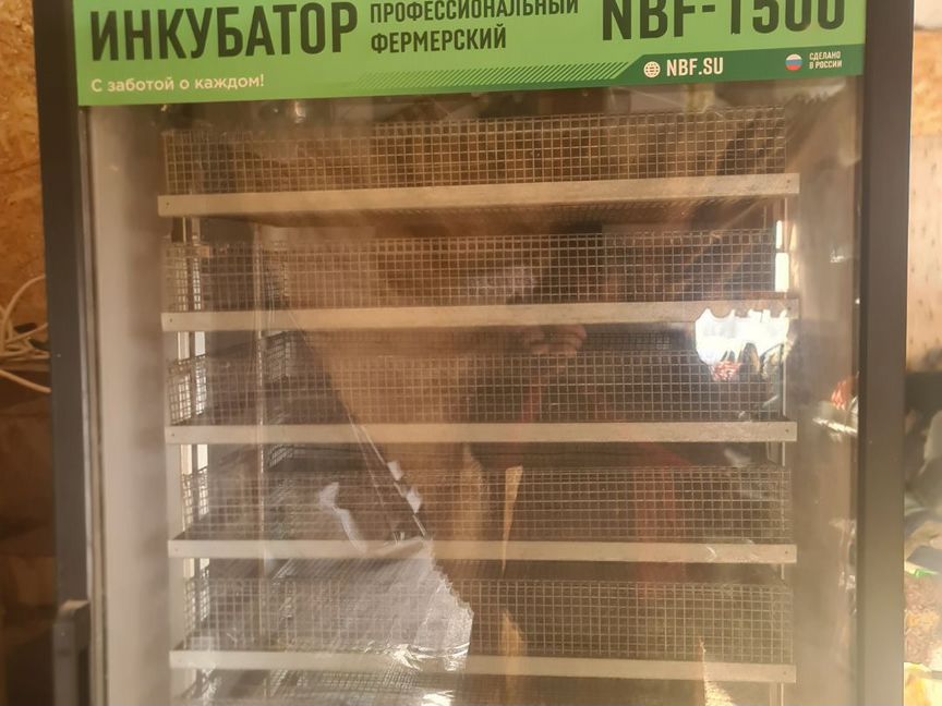 Инкубаторы NBF на 770 и 1500 яиц. Почти новые