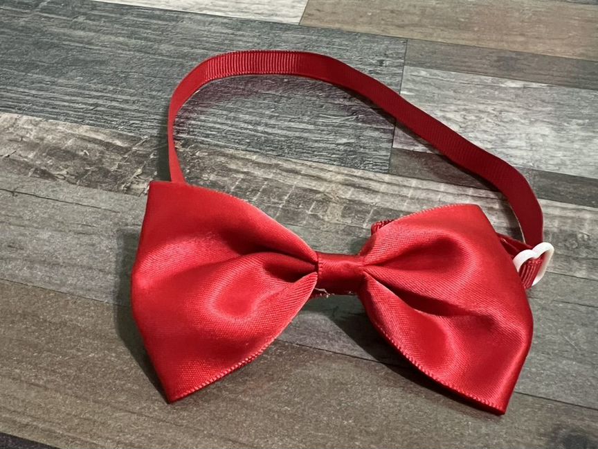 Одежда для котов