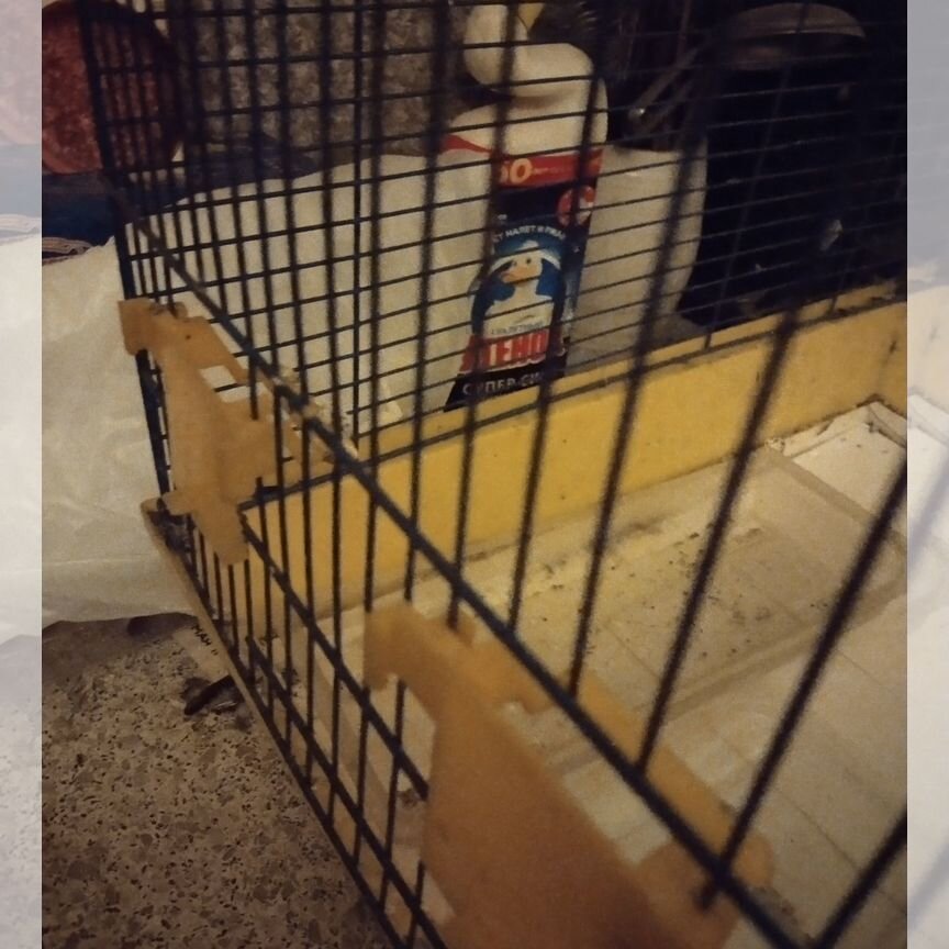 Клетка большая