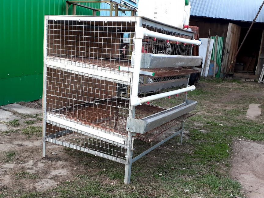 Клетка для препелов