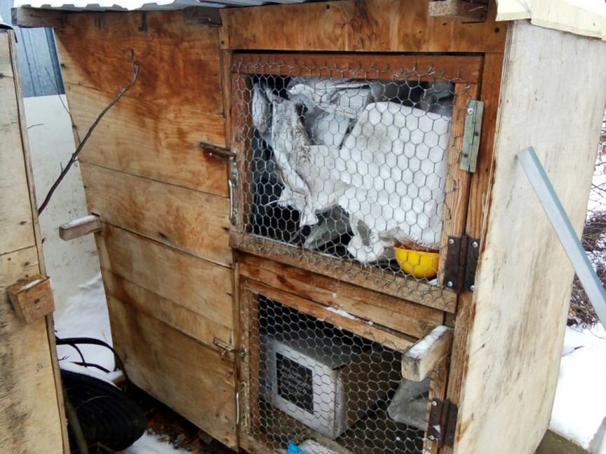 Клетки для кроликов