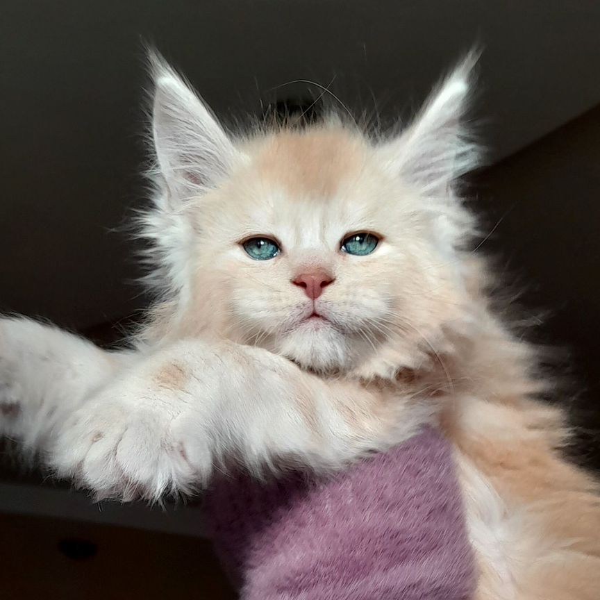 Снежный великан