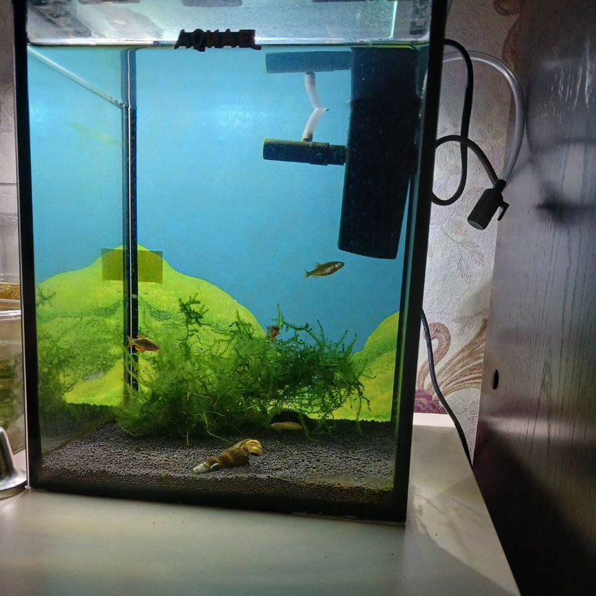 Аквариум