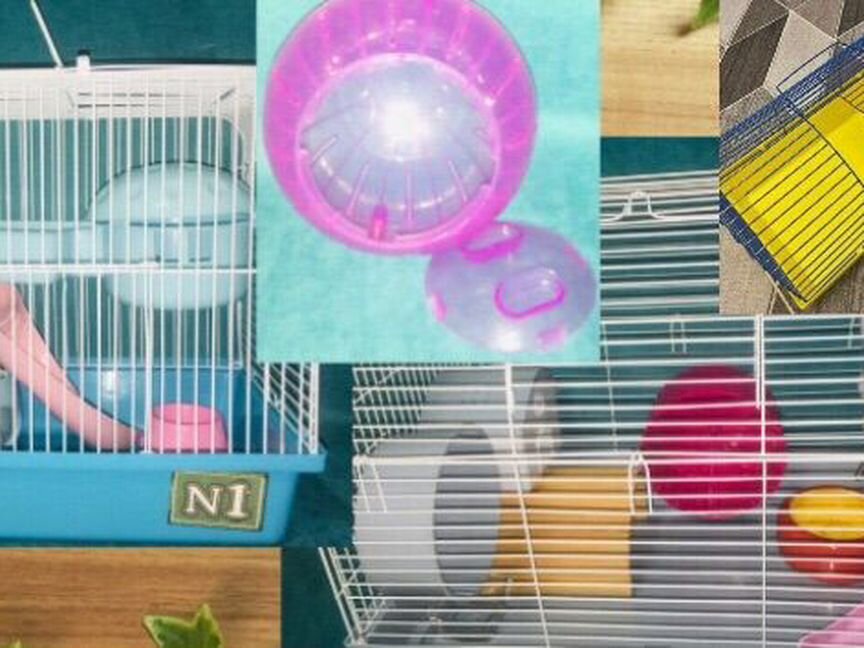 Товары для грызунов