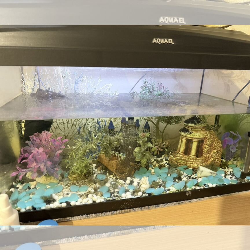 Аквариум aquael