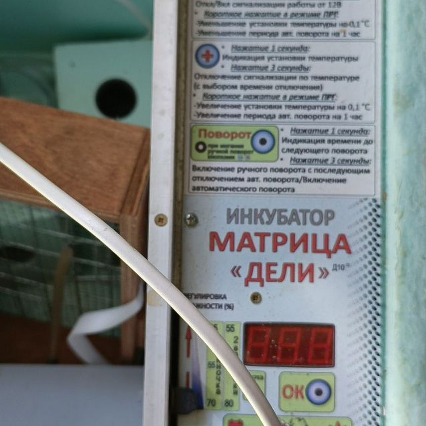 Инкуботор