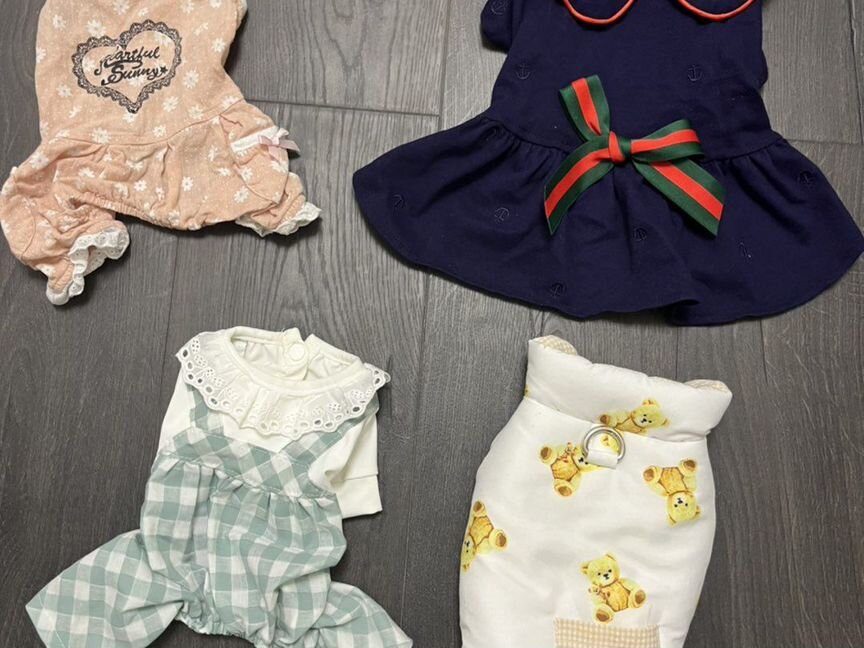 Одежда для собак