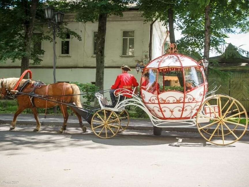 Карета для лошади и пони