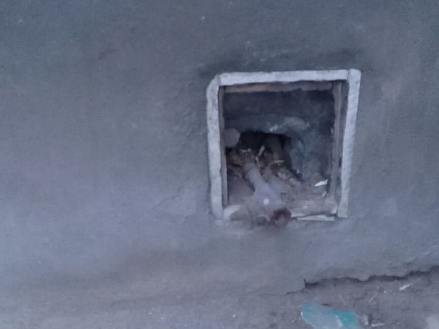 Замуровали котенка