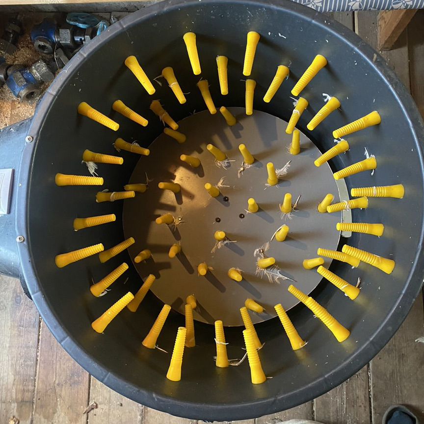 Перосъемная машина бу