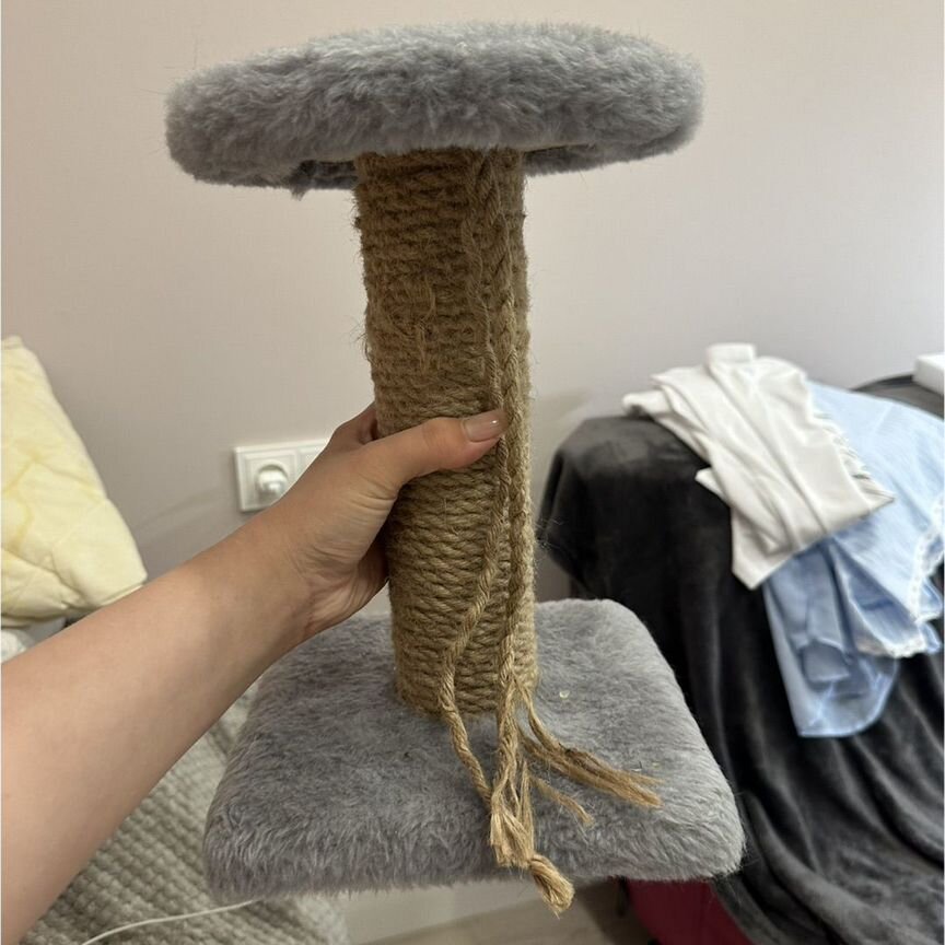 Когтеточка для котят