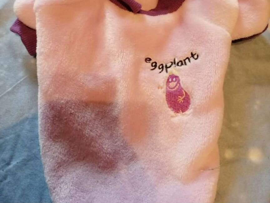 Одежда для кошки