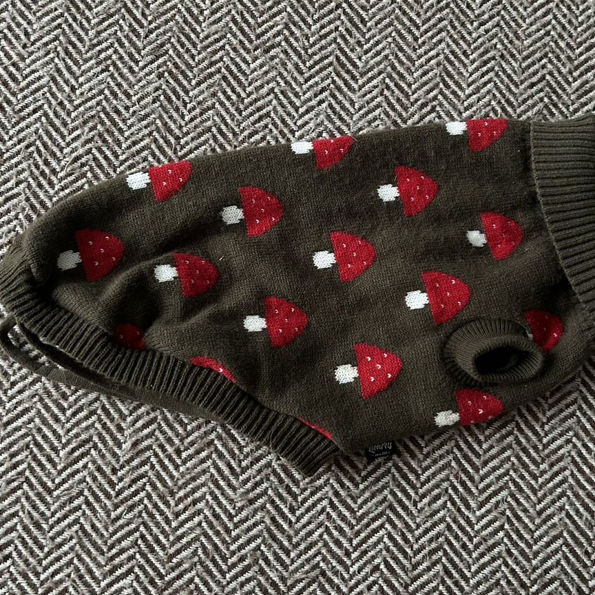 Свитер для собак LionPets