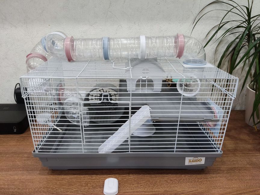 Клетка для джунгарского хомяка