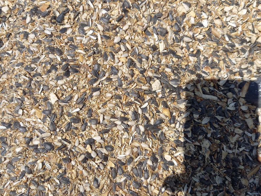 Семечки 2 сорт