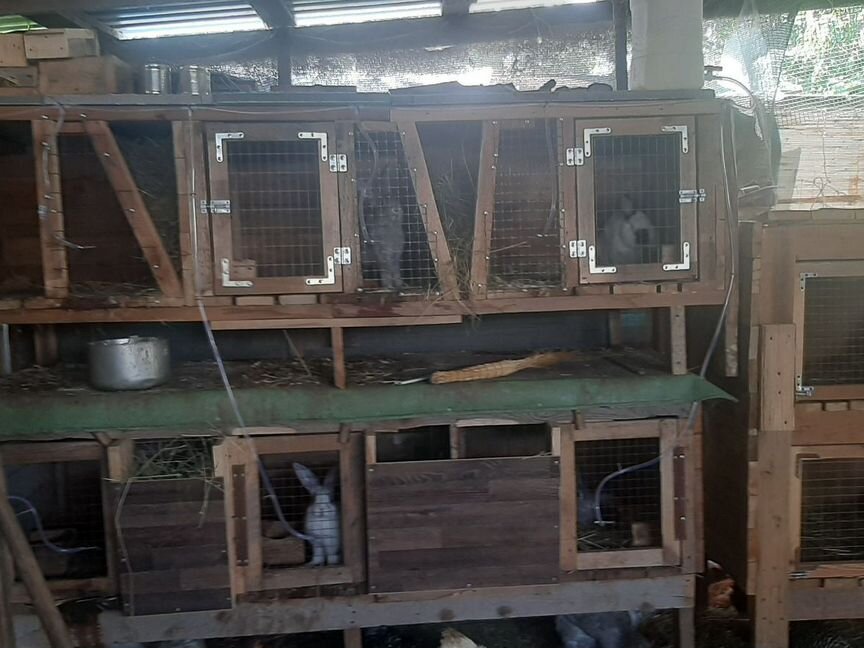 Продам клетки для кроликов
