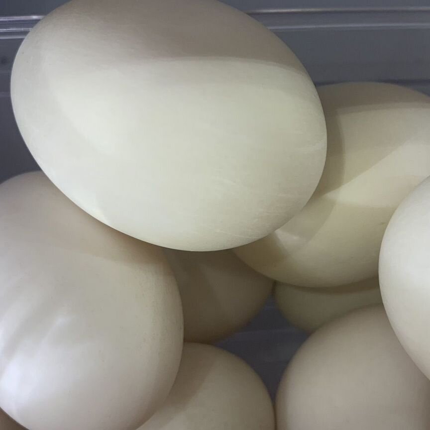 Индоутки тяжелой линии Гримо