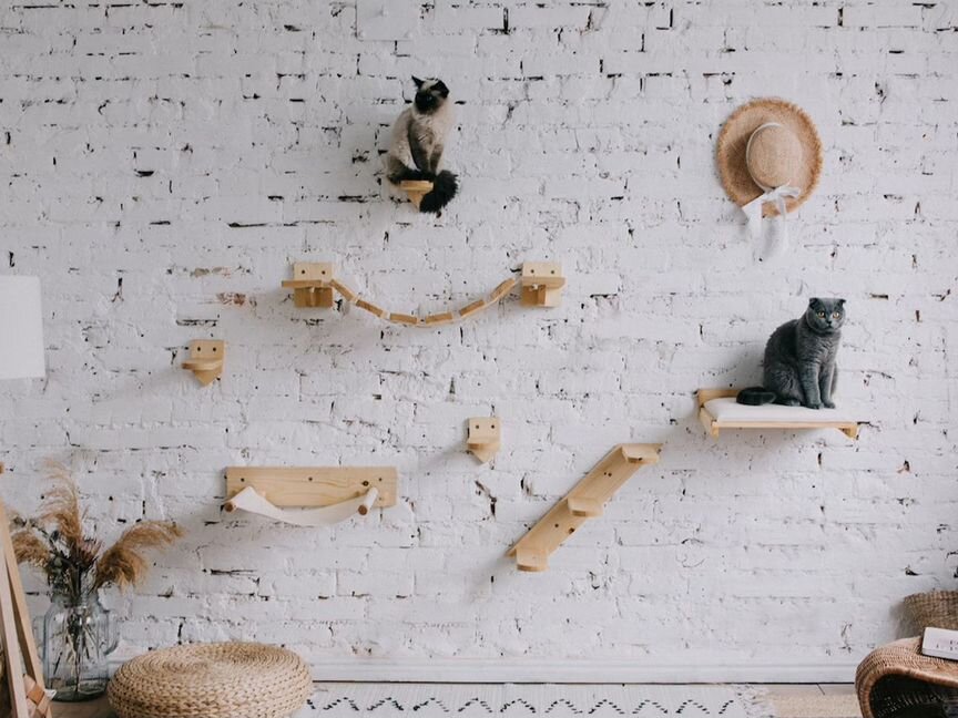 Комплекс для кошек настенный от производителя