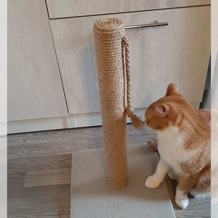 Когтеточка