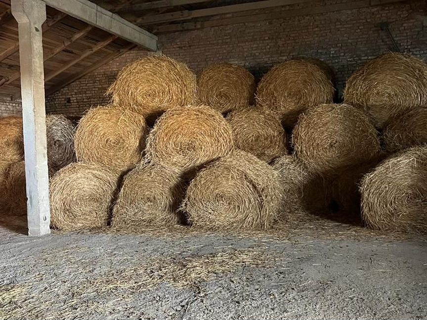 Сено в рулонах