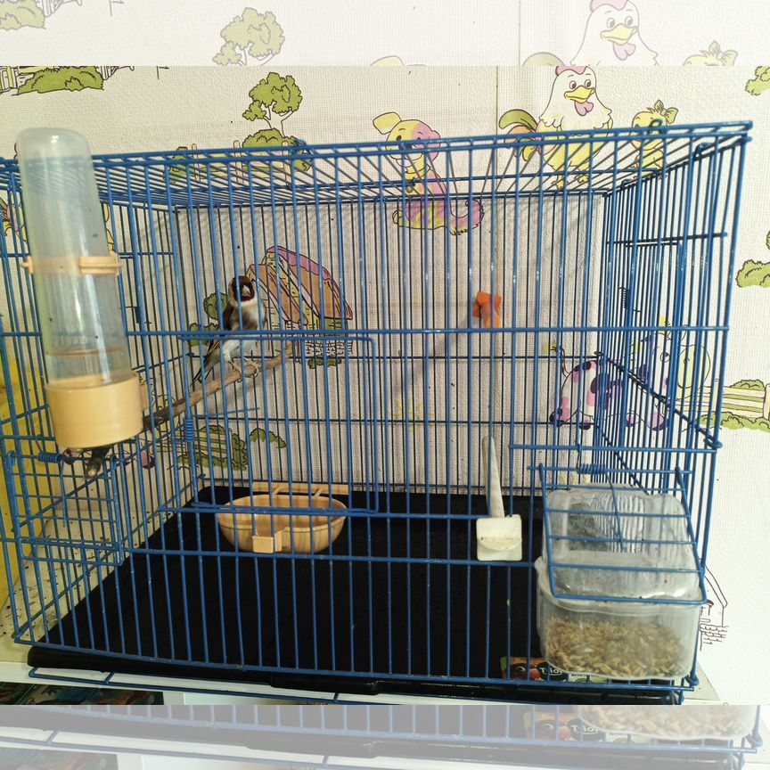 Клетка для птиц
