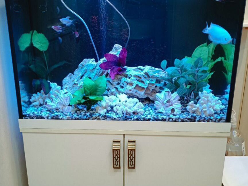 Аквариум комплект (шкаф + оборудование)