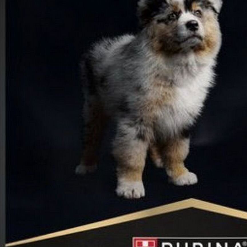 Корм для щенков Pro plan лосось 12 кг