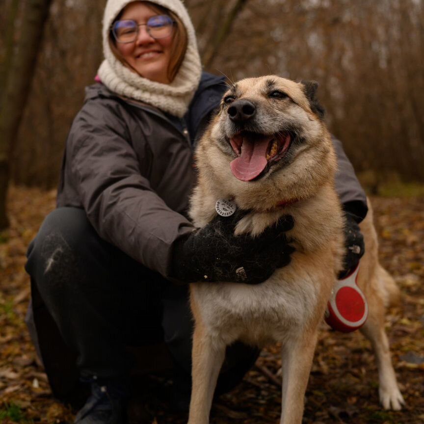 Преданная Пицца ждет своих хозяев в приюте