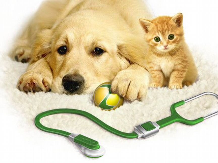 Ветеринарные препараты