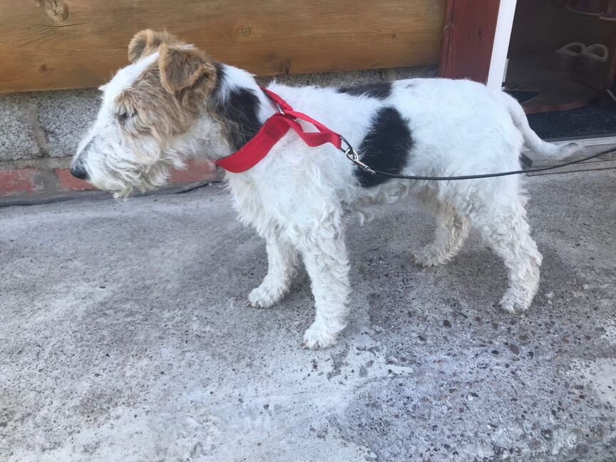 Аммуниция на заказ