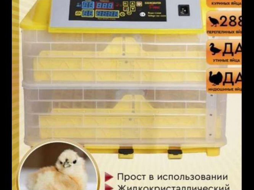 Инкубатор автомат HHD