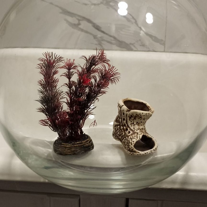 Аквариум для рыбок новый