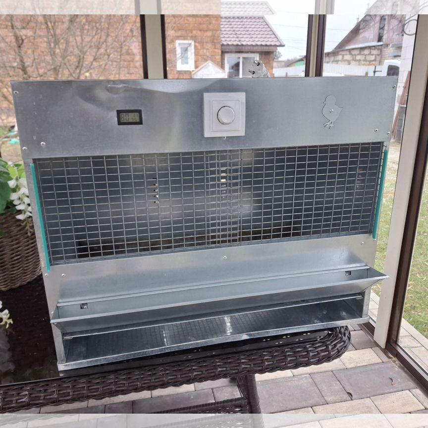 Брудер для цыплят