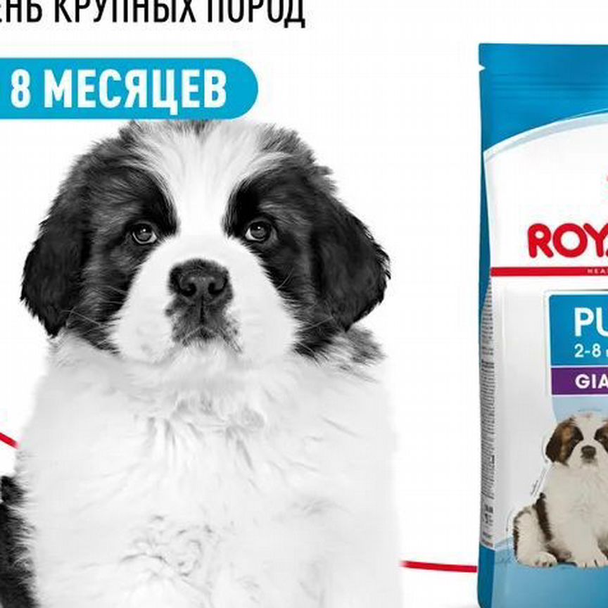 Сухой корм для собак royal canin giant puppy