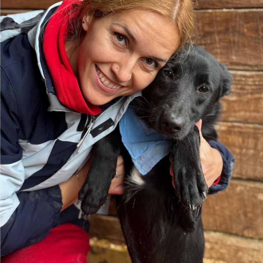 Щенок в добрые руки