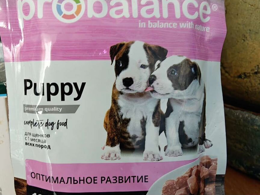 Влажный корм для щенков Probalance