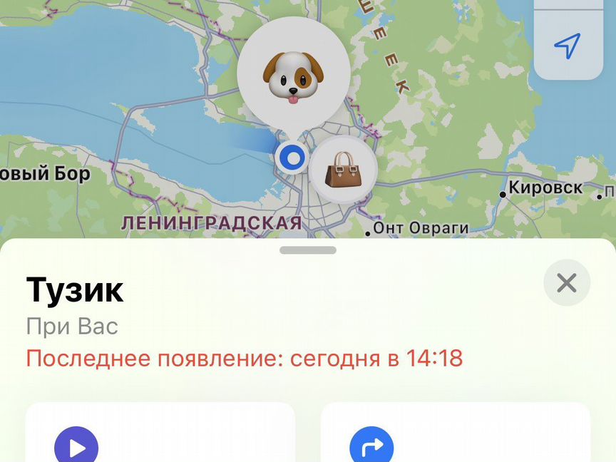 Поисковый маячок для собаки/кошки метка