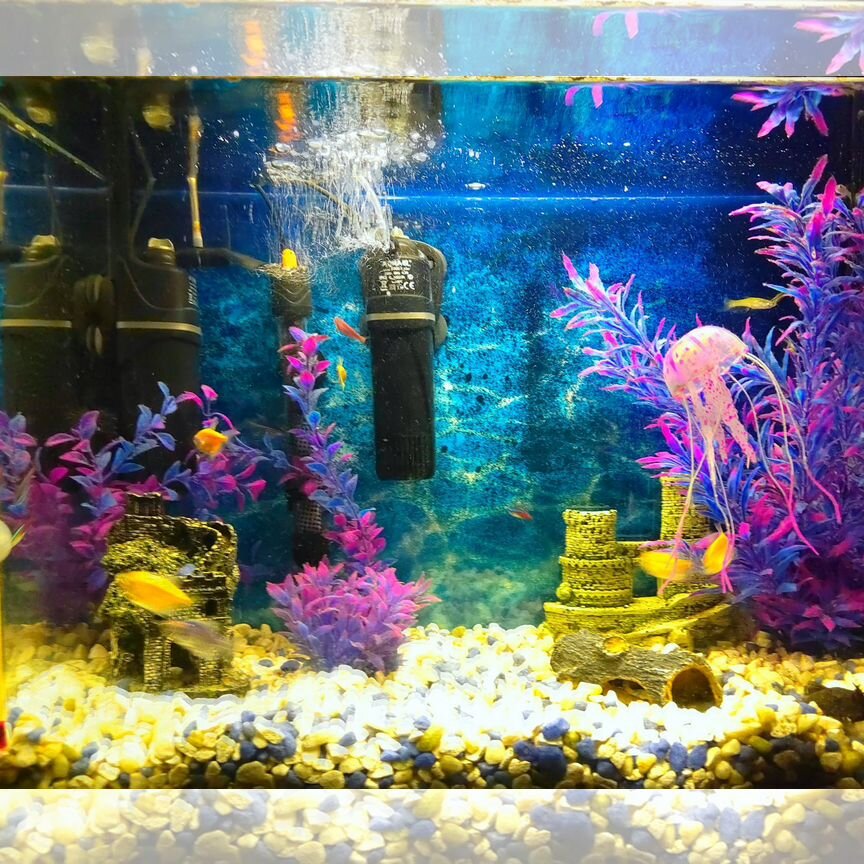 Аквариум 80 л с тумбой и всем содержимым