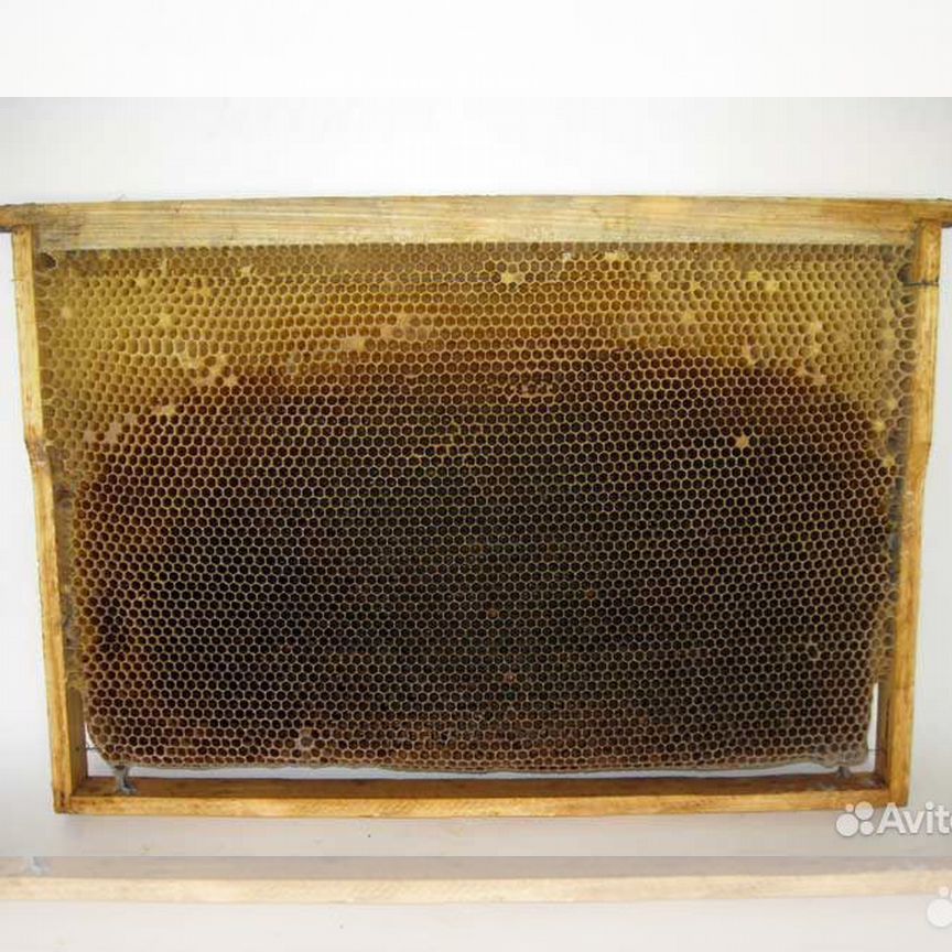 Рамки для ульев сушь